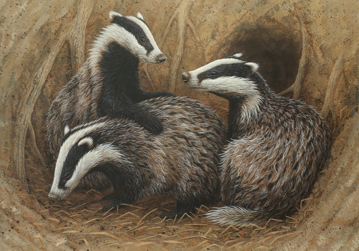 Film | Watch Me Paint These Playful Badgers | My Wildlife Art – Robert E Fuller