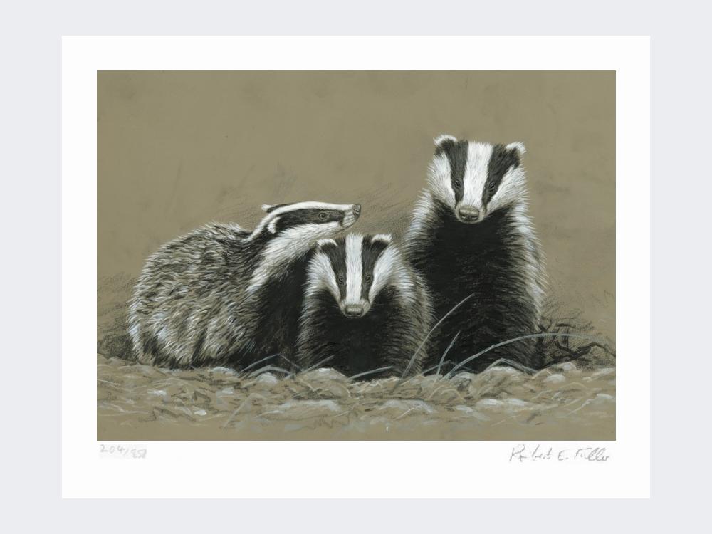 Badger and Two Cubs - Limited Edition Print – Robert E Fuller