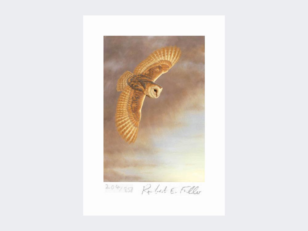 Barn Owl in Flight - Limited Edition Print – Robert E Fuller