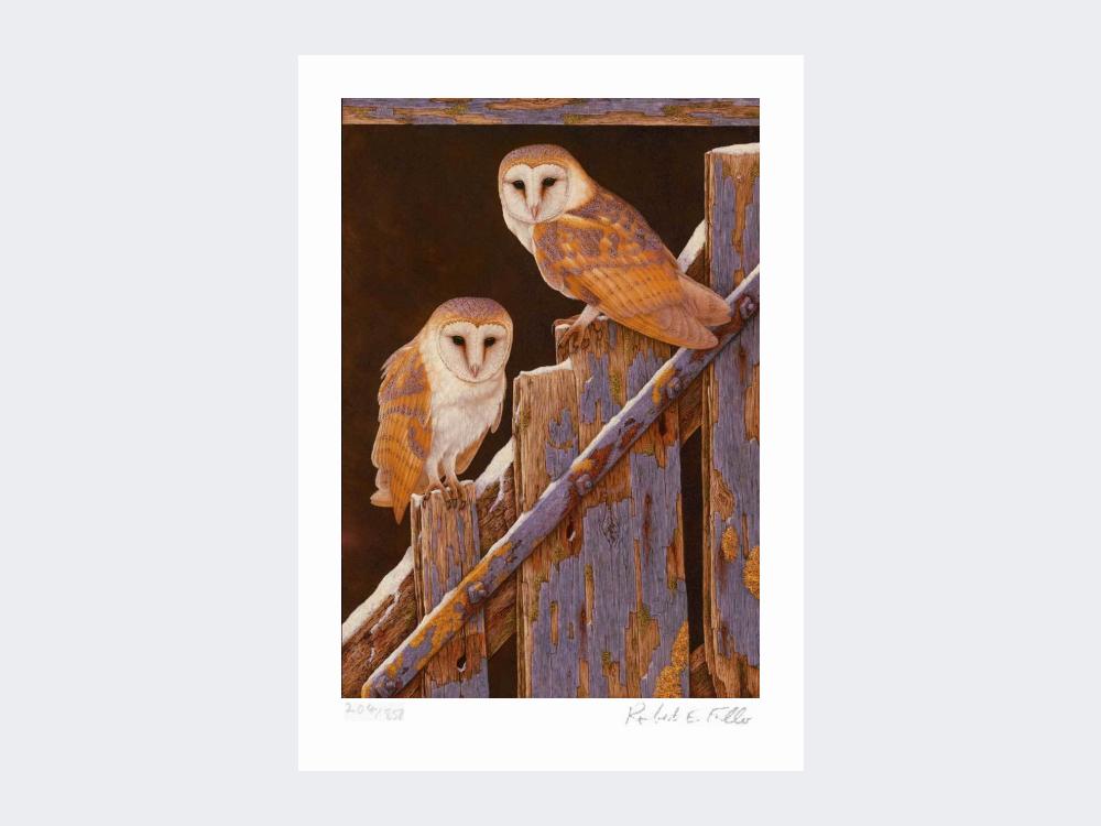 Barn Owls at Duggleby - Limited Edition Print – Robert E Fuller
