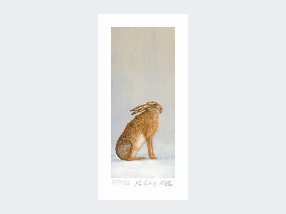 Hare at Peace - Limited Edition Print %%sep%% %%sitename%% – Robert E Fuller