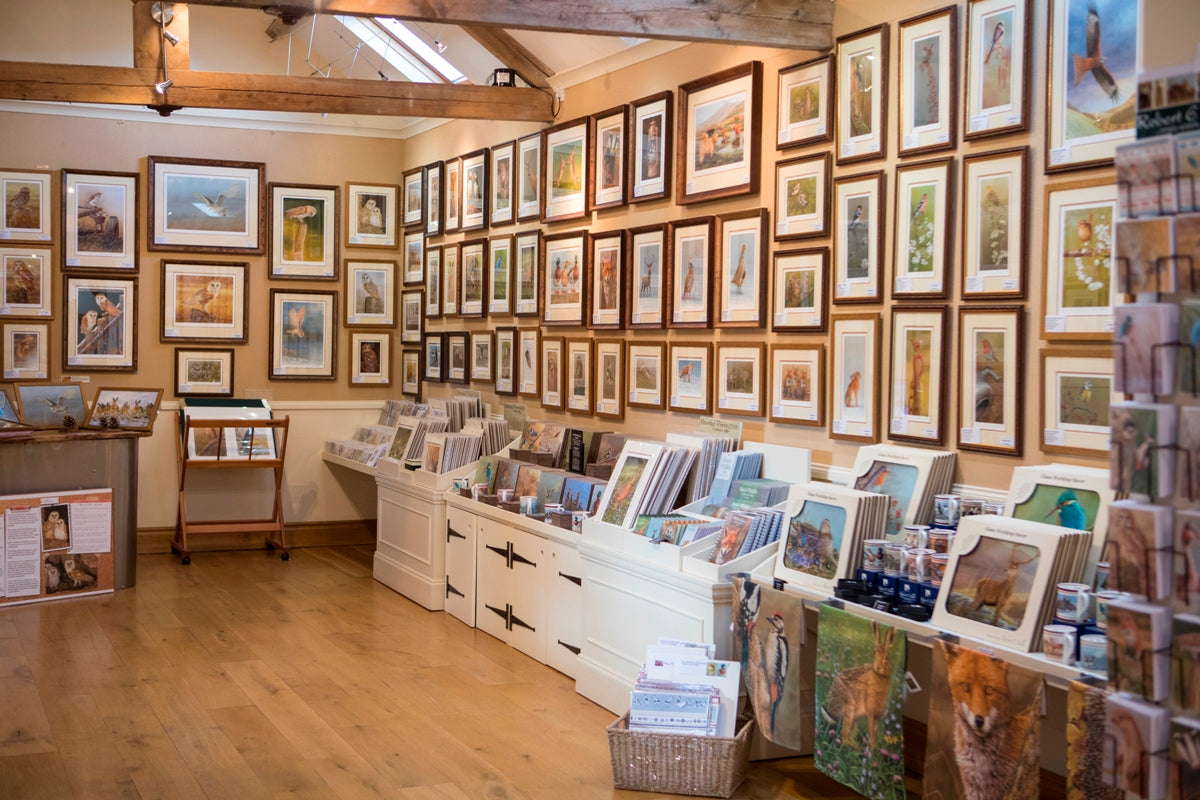 My Gallery Is Opening by Appointment – Robert E Fuller