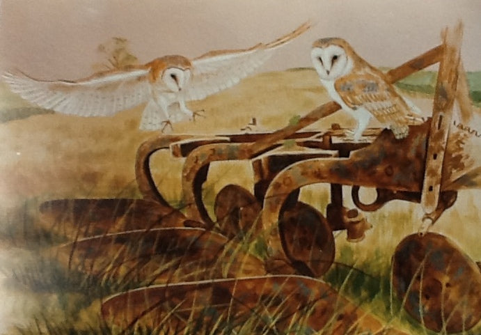 Barn owls are back on the Yorkshire Wolds after almost disappearing fr ...