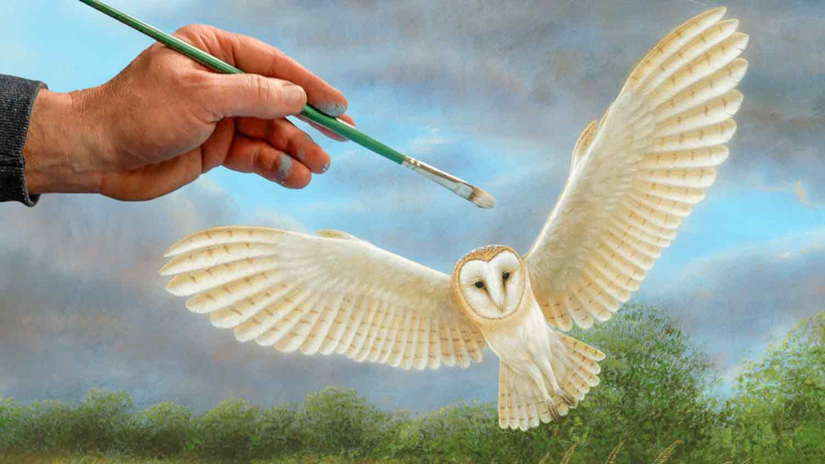 Film | Painting a Barn Owl | Wildlife Art | – Robert E Fuller