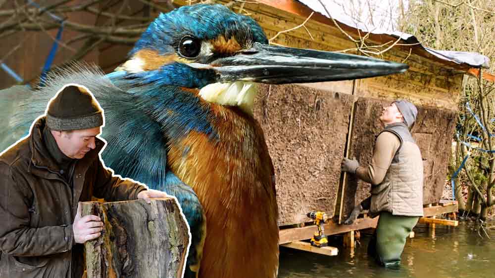 Film | Building Nest Boxes for Owls, Kestrels & Kingfishers – Robert E ...