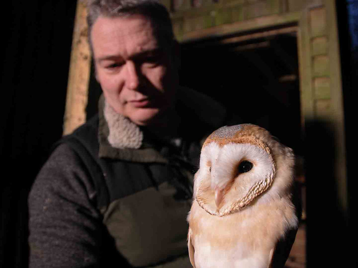 Film | Barn Owl Takes 1st Step of Journey Back to Wild | Rescued & Ret ...