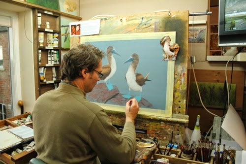 Drawing for Darwin - Just 12 days to go! – Robert E Fuller