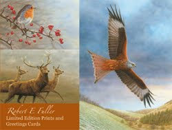 New Prints and Cards Now Available – Robert E Fuller