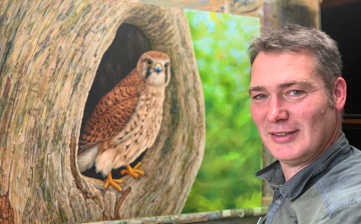Portrait of a plucky kestrel | A tribute to Mrs Kes – Robert E Fuller