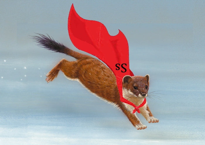 How about a 'super stoat' to rescue South Georgia's penguins? – Robert ...