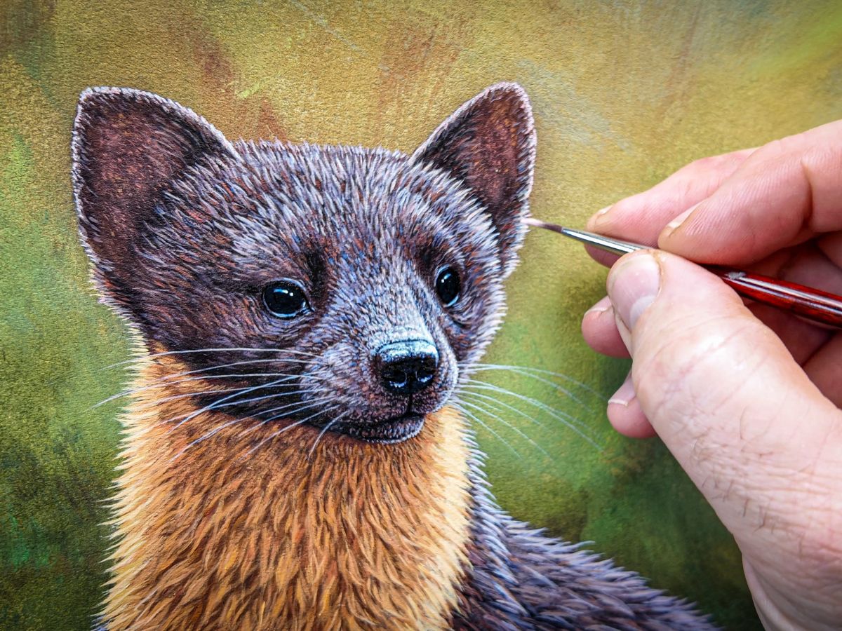 Film | Timelapse Shows How I Bring A Pine Marten Painting Alive ...