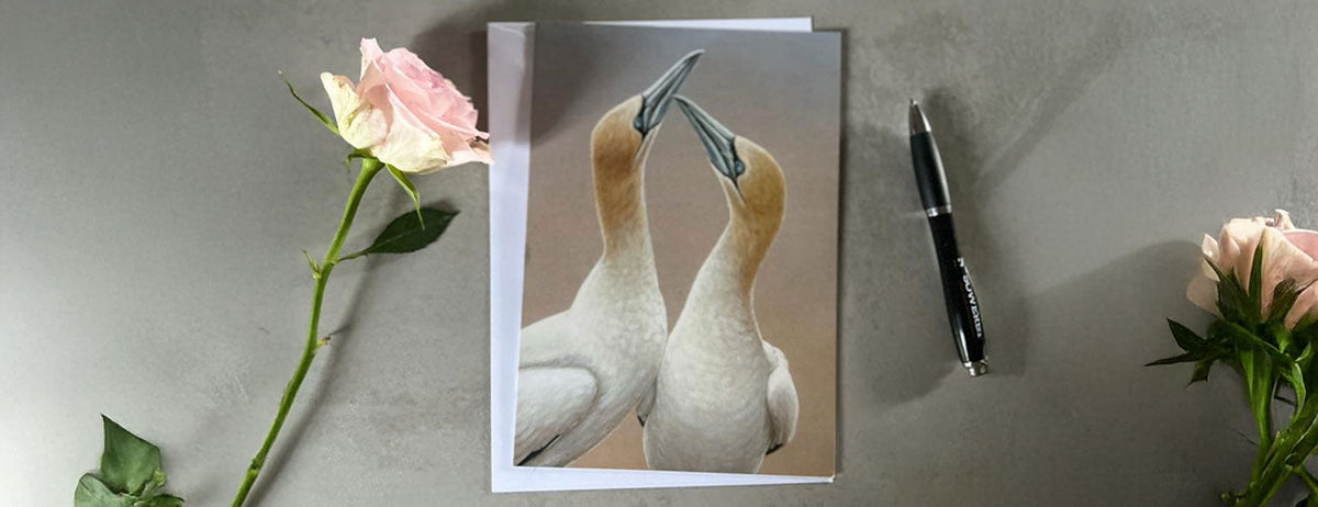 Trade - Individual greetings cards – Robert E Fuller