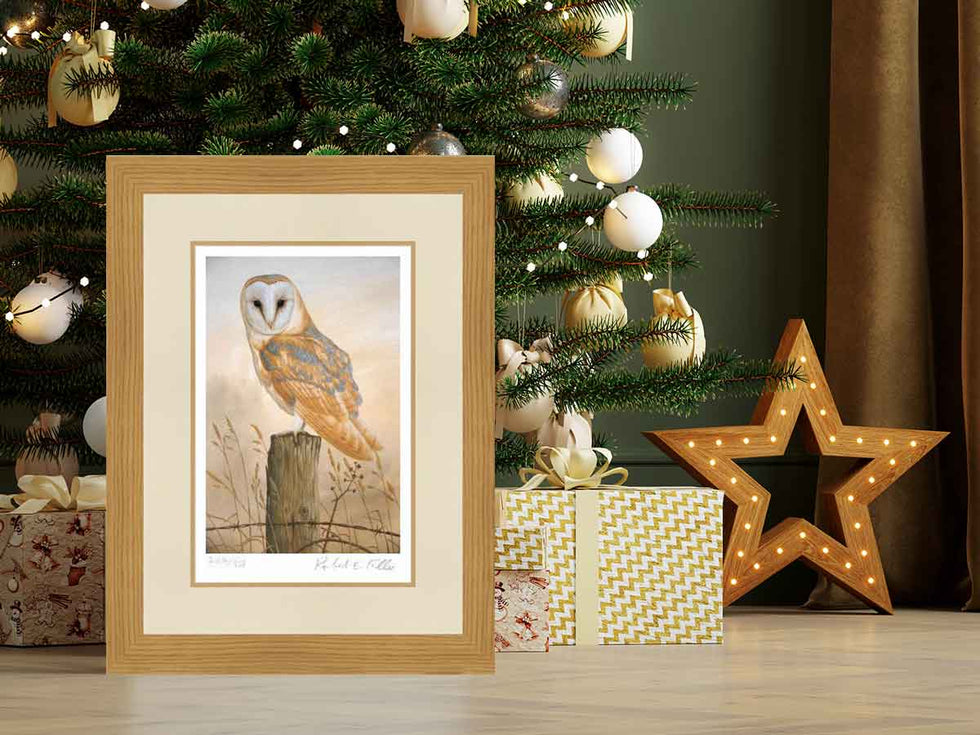 Most popular limited edition prints – Robert E Fuller