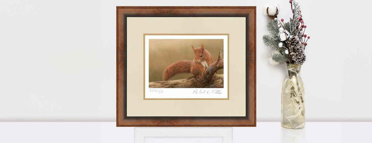 Gifts for squirrel lovers – Robert E Fuller