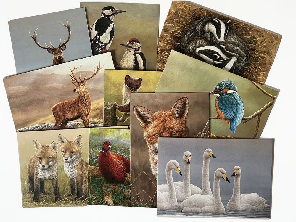 Mixed Pack of Large Blank Greetings Cards – Robert E Fuller