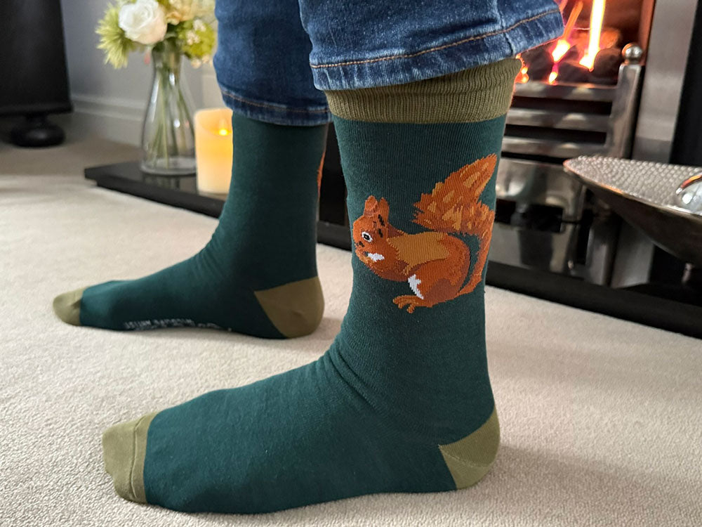 Squirrel Socks Robert E Fuller