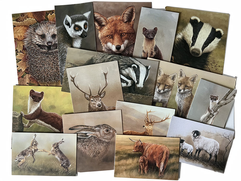 Mixed Pack of Animal Cards – Robert E Fuller
