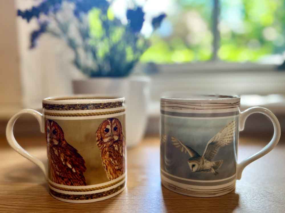 Barn Owl & Tawny Owl Mugs | Fine Bone China | Set of 2 – Robert E Fuller