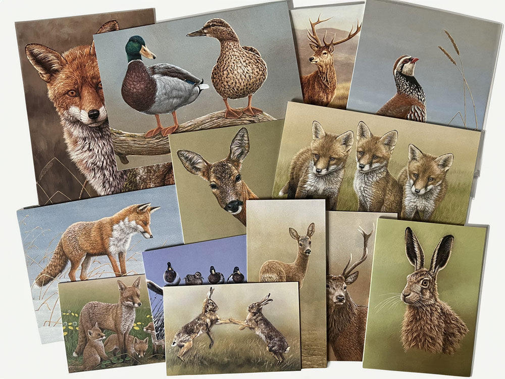 Mixed Pack of Country Cards – Robert E Fuller