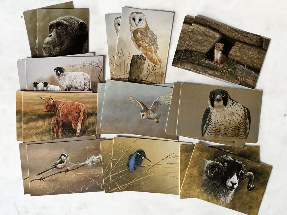 Mixed Pack of Small Blank Greetings Cards – Robert E Fuller