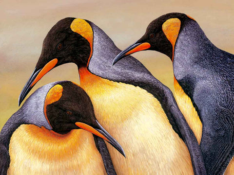 Robert E Fuller Wildlife artist and filmmaker