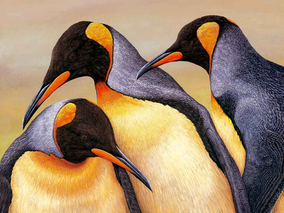 Robert E Fuller Wildlife artist and filmmaker