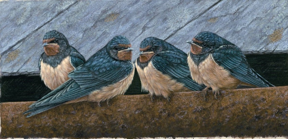 The Robert Fuller Gallery Ltd - Wildlife Artist Robert E Fuller