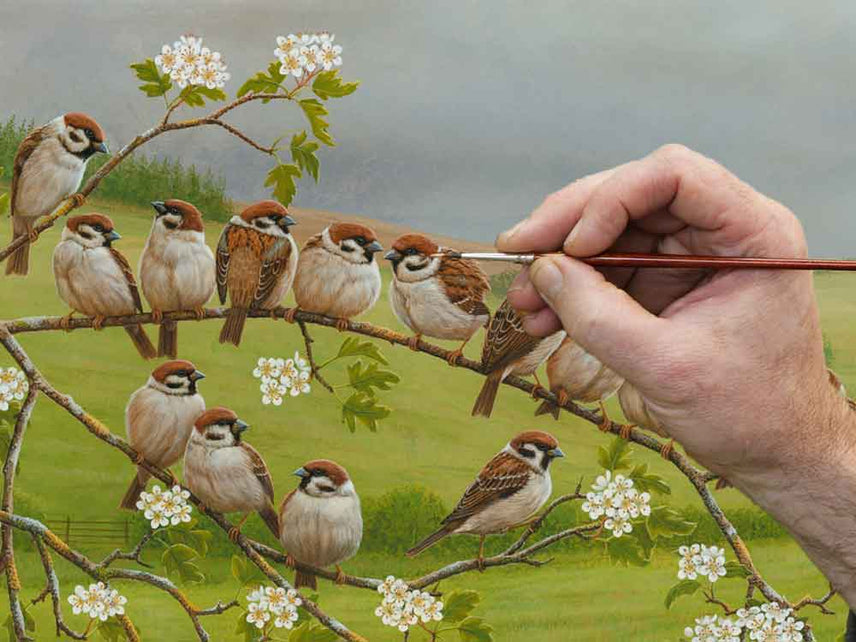 Robert E Fuller Wildlife artist and filmmaker