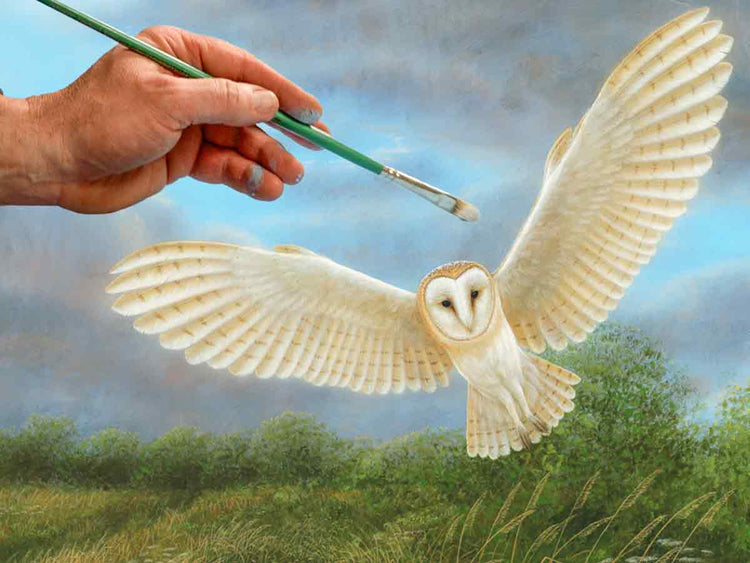 Robert E Fuller Wildlife artist and filmmaker