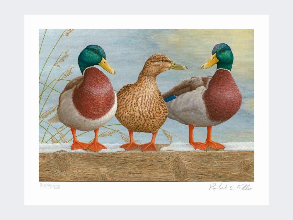M'llards and Lady - Limited Edition Print – Robert E Fuller