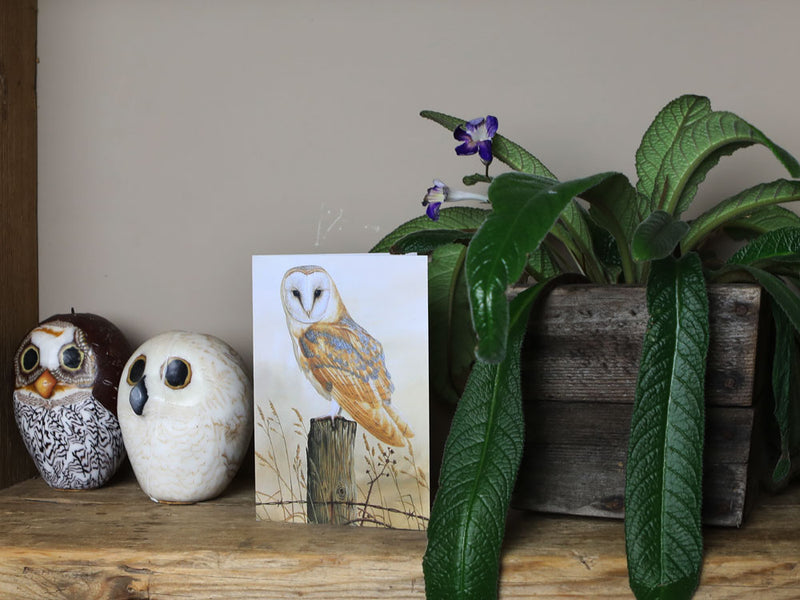 Greetings cards – Robert E Fuller