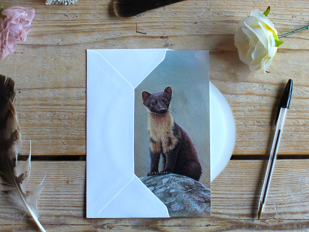 Luxury-Blank-Greetings-Cards-Pack-Inquisitive- Pine-Marten-By-Robert-E ...