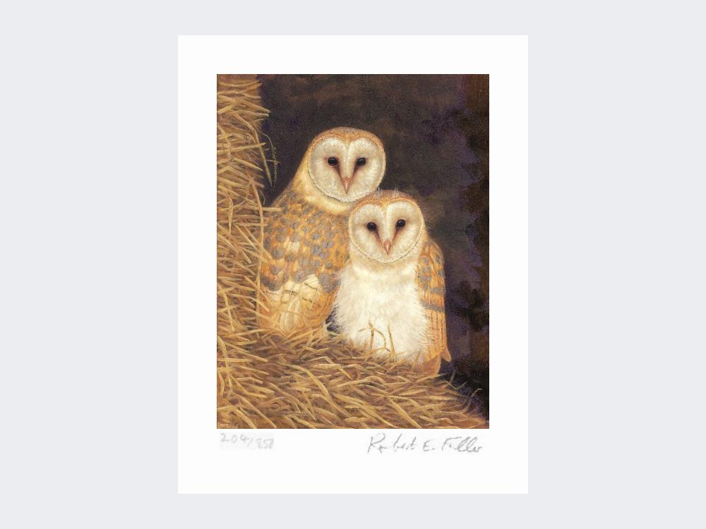 Owls Snuggled Up - Limited Edition Print Robert E Fuller