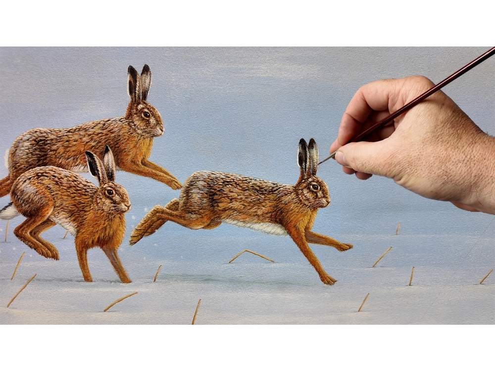 Robert E Fuller Wildlife artist and filmmaker