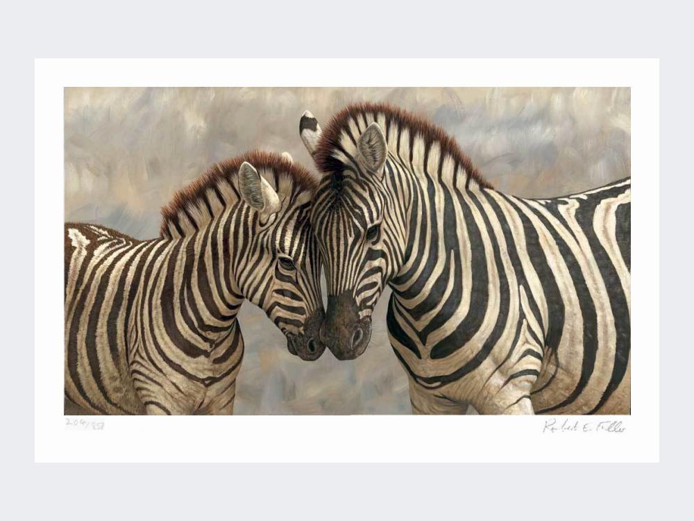 Zebra with Young - Limited Edition Print – Robert E Fuller