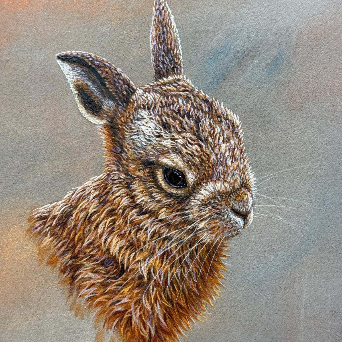 SOLD Leveret portrait | Original Painting – Robert E Fuller