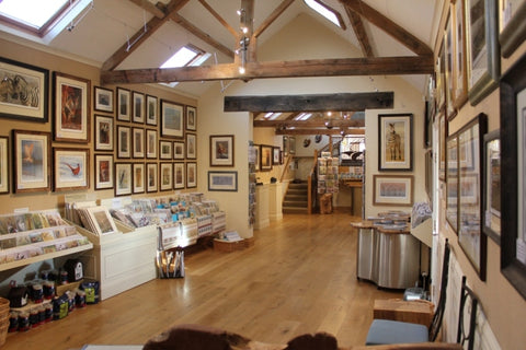 Visit us – Robert E Fuller