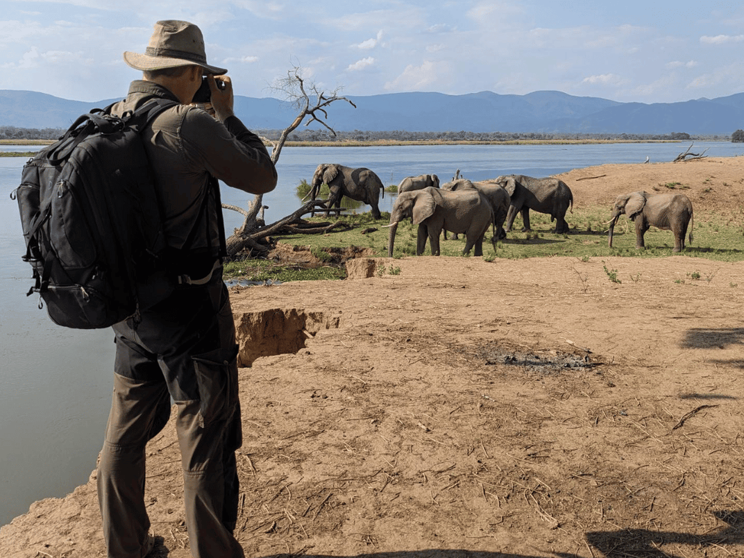 Travel | Reclaimed: The Haunting Whaling Station Now Home to Wildlife ...